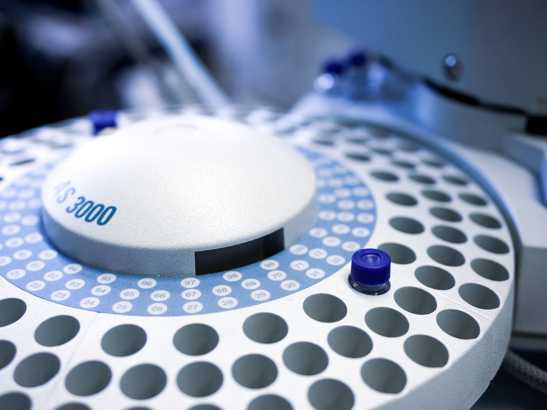 Thermo QuantStudio 5 vs Bio-Rad CFX - Filtrous