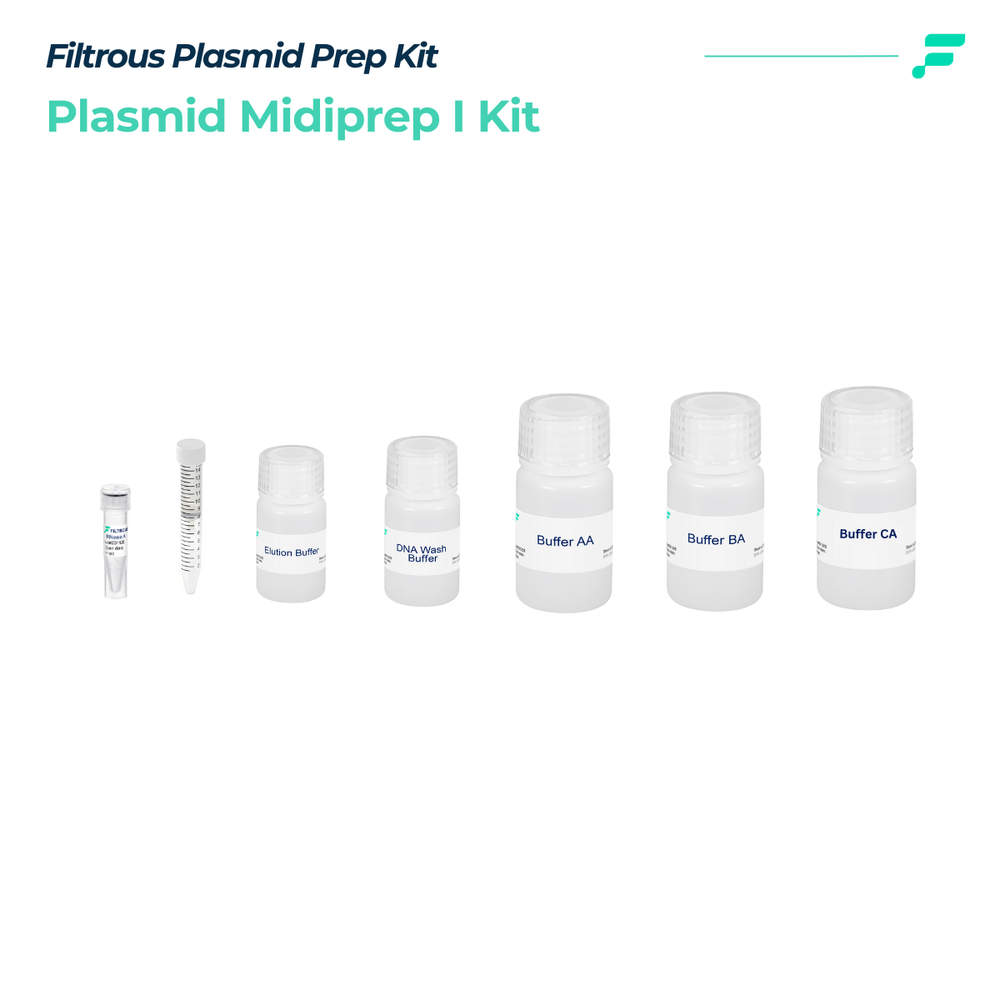 Filtrous Plasmid Midiprep I Kit | High-Yield, Endotoxin-Free DNA for ...