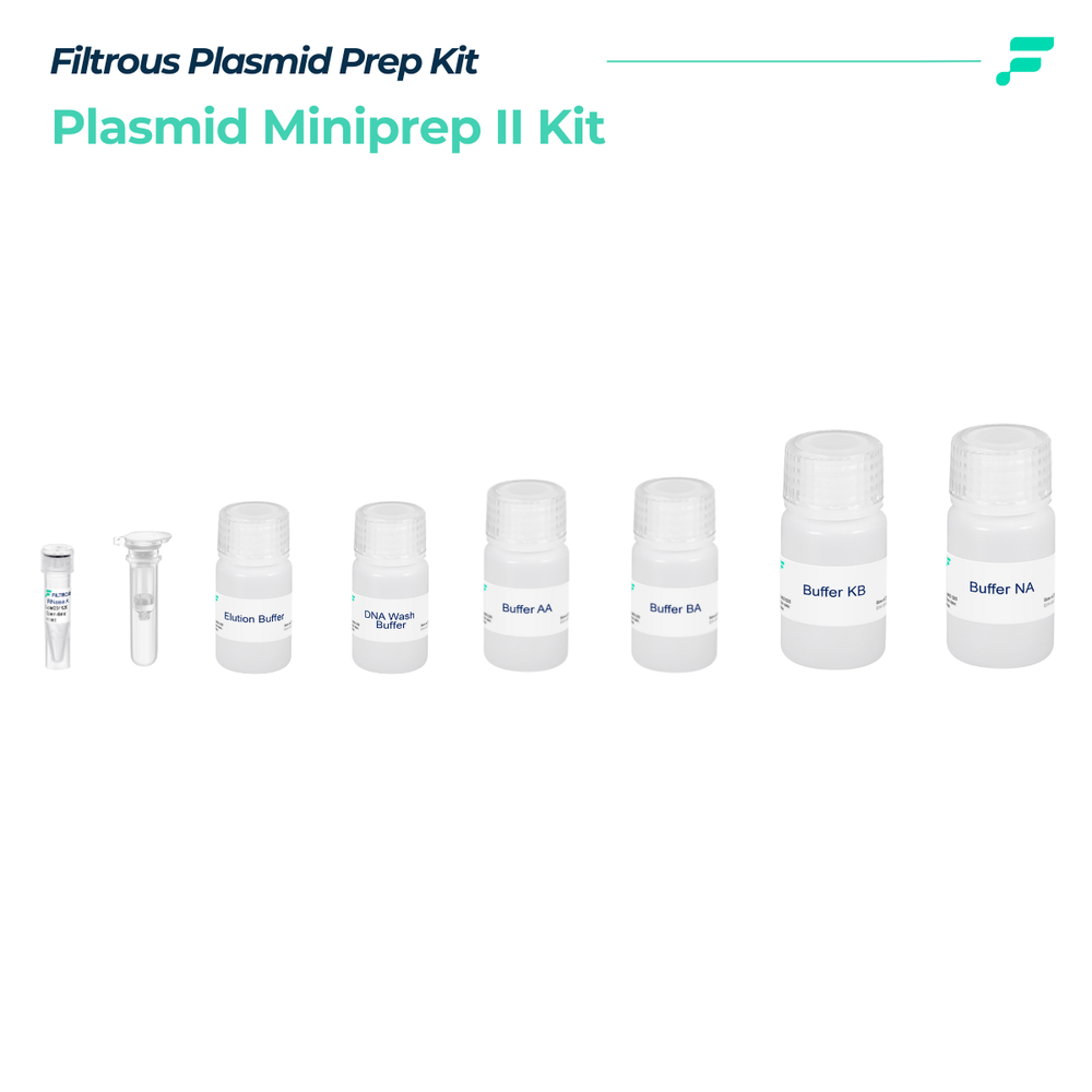 Filtrous Plasmid Miniprep II Kit | High-Yield, High-Purity Plasmid DNA ...