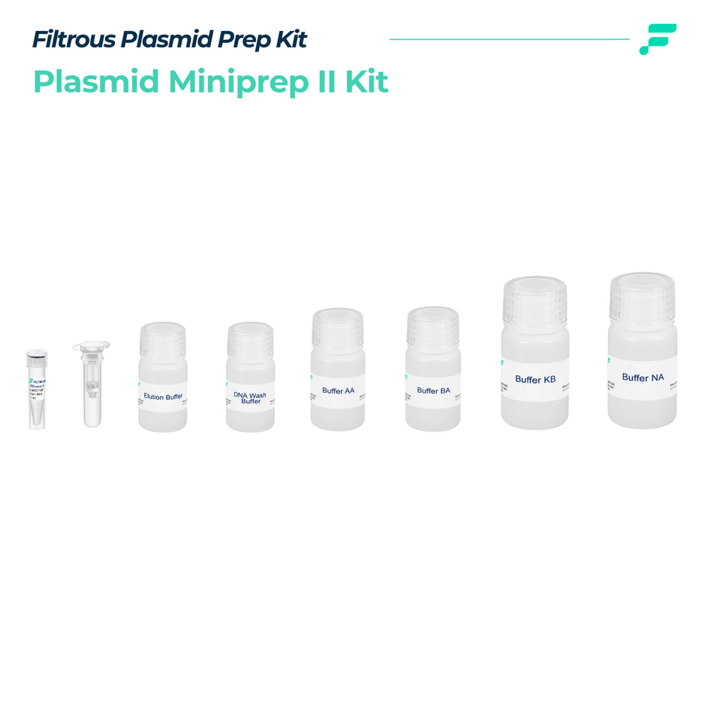 Filtrous Plasmid Miniprep II Kit | High-Yield, High-Purity Plasmid DNA ...