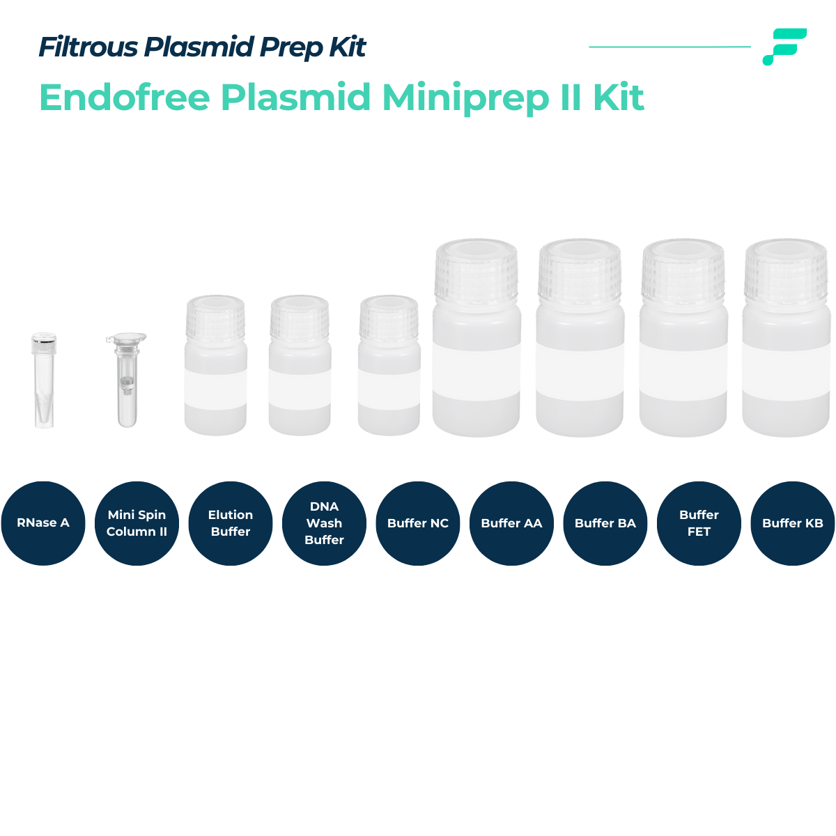 Endofree Filtrous Plasmid Miniprep II Kit - Filtrous