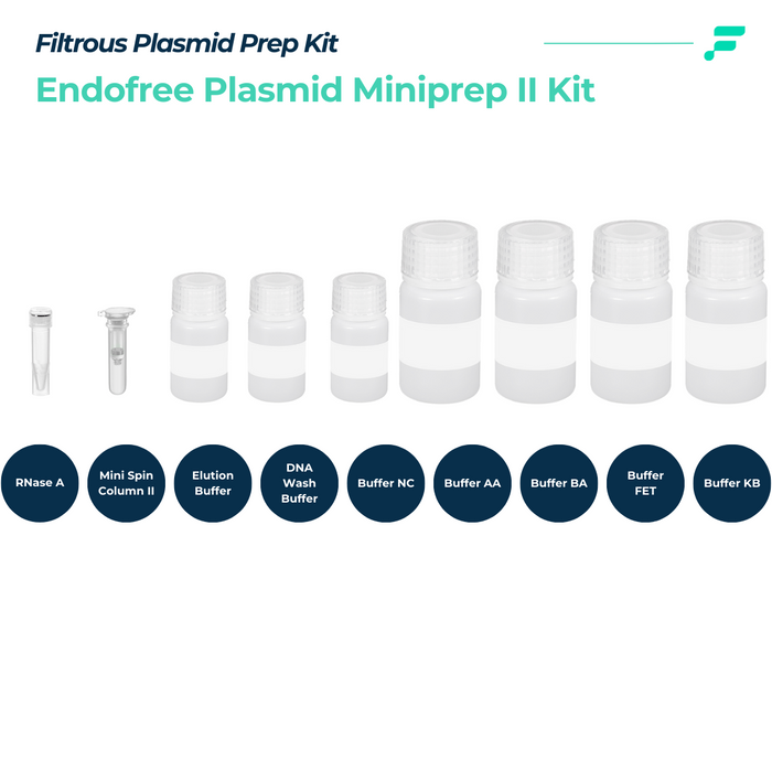 Endofree Filtrous Plasmid Miniprep II Kit - Filtrous