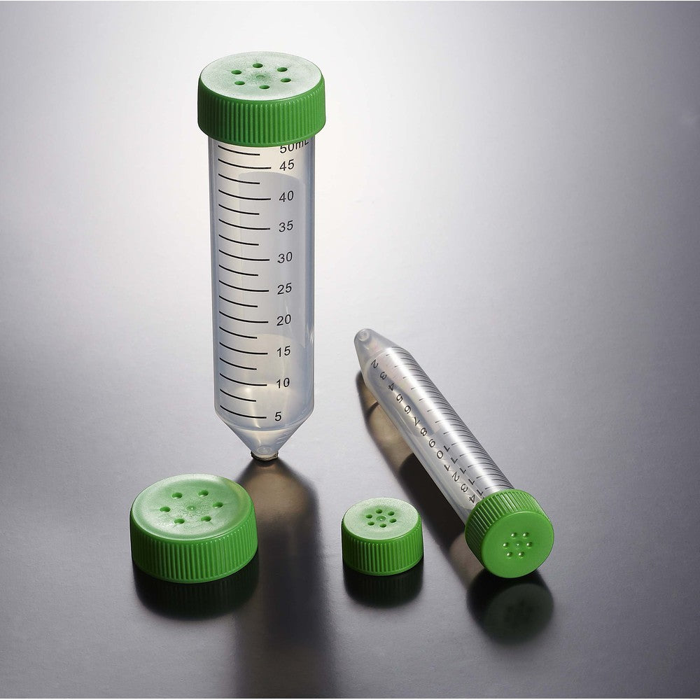 Cell Culture — Filtrous